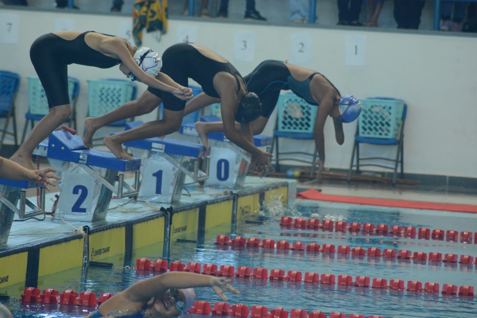 العاصمة الإدارية تستضيف سلسلة بطولات الجمهورية للسباحة البارالمبية المؤهلة لباريس 2024 - kasnews ...