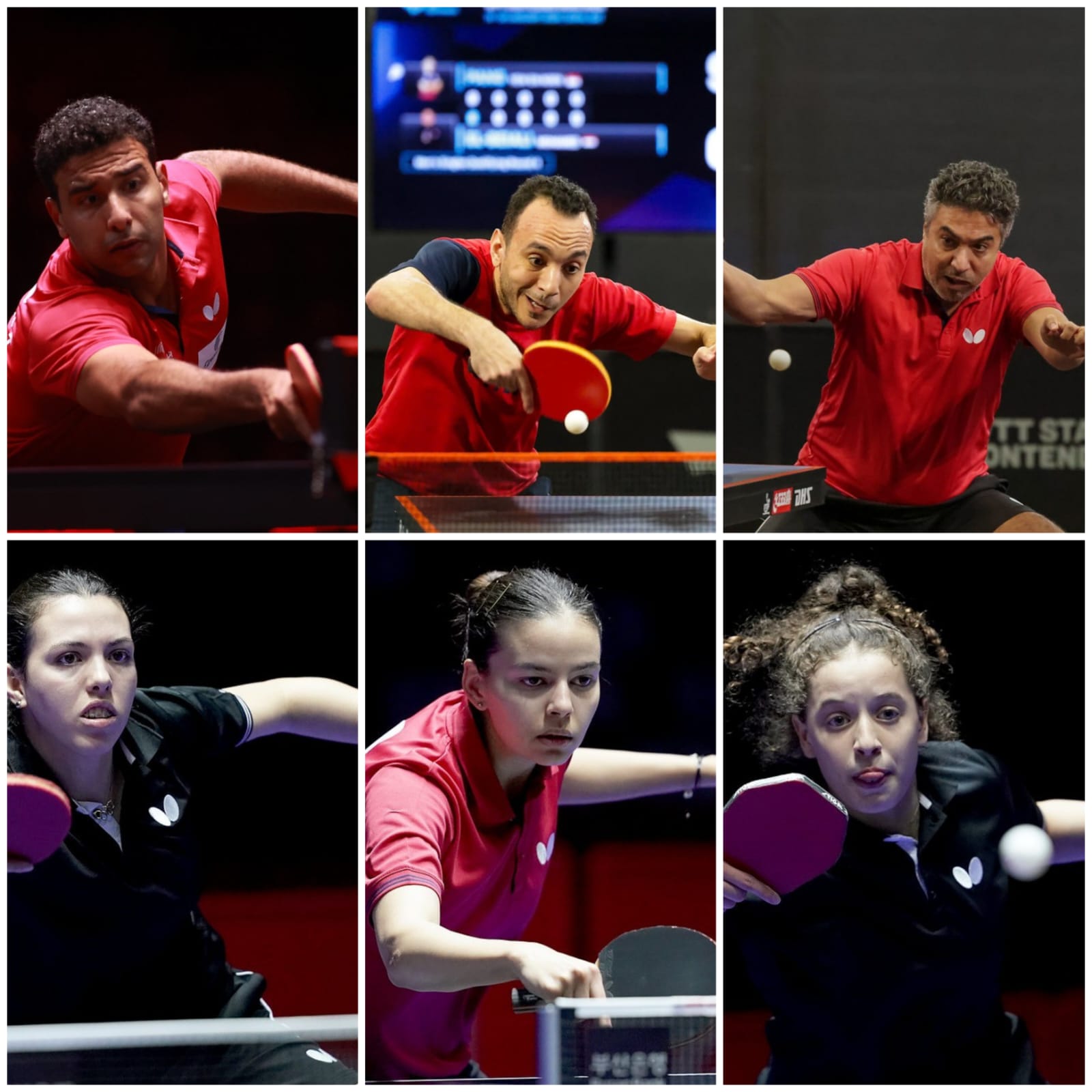 تعرف على قرعة البعثة المصرية بكأس العالم لتنس الطاولة بالصين - kasnews - كاس نيوز